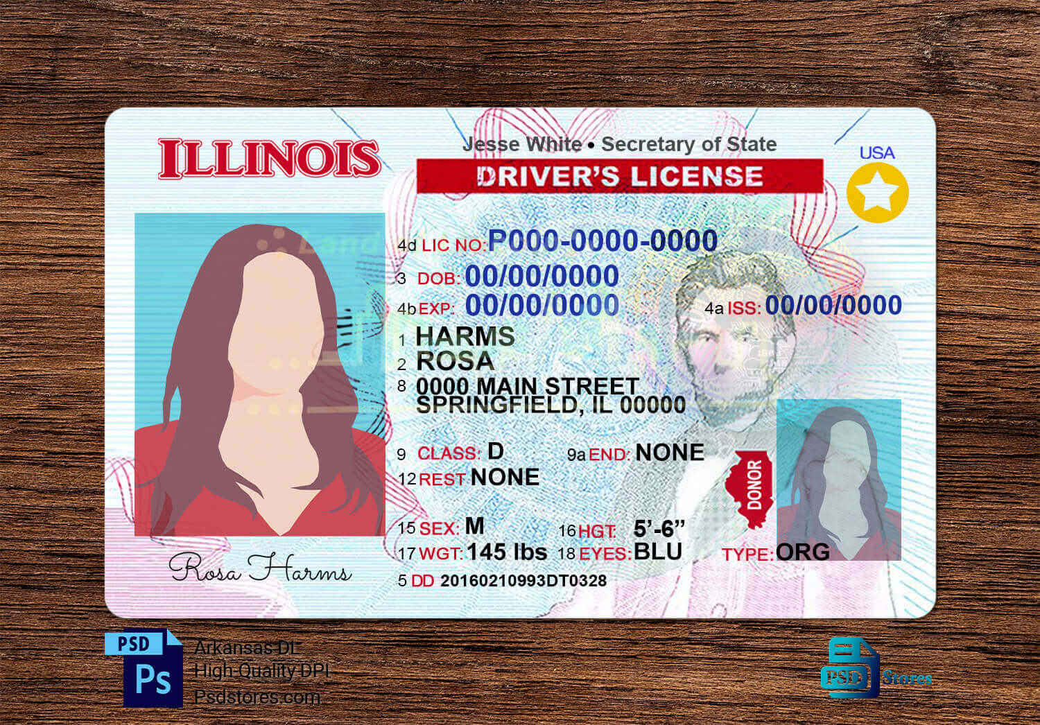Illinois Driver License Template PSD Stores