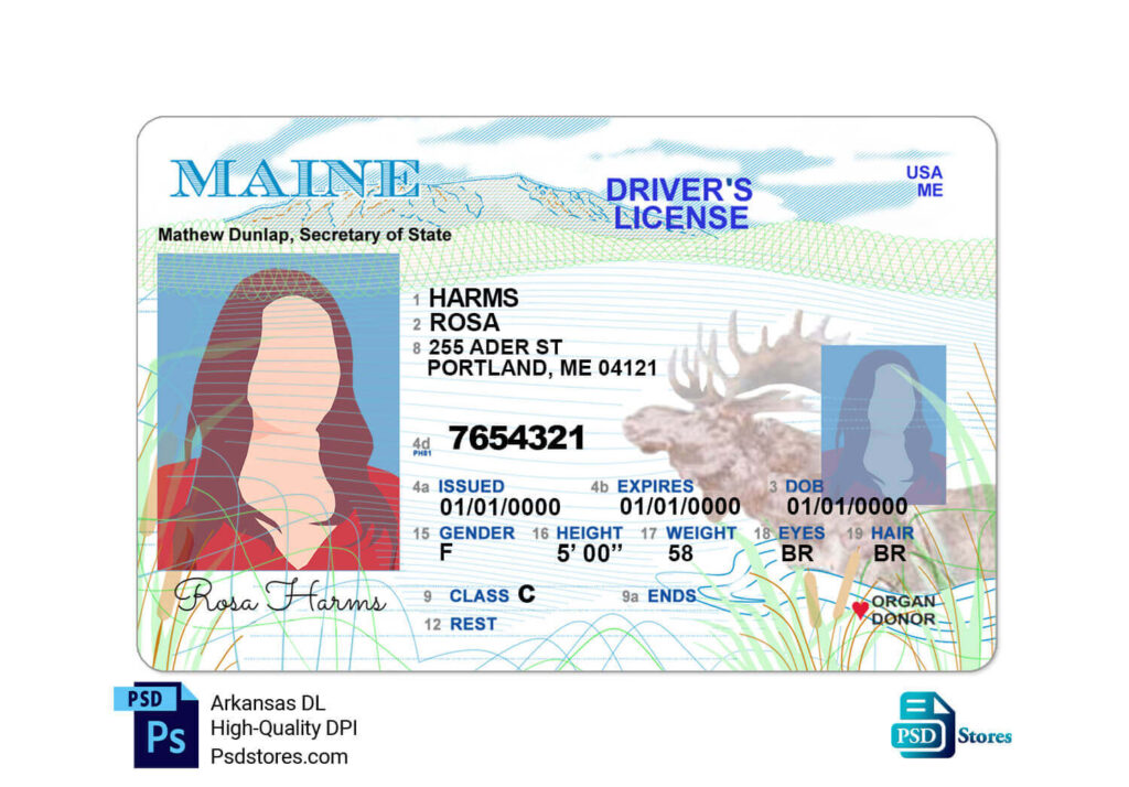 Maine Driver License Template - PSD Stores