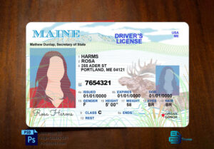 Maine Driver License Template - PSD Stores