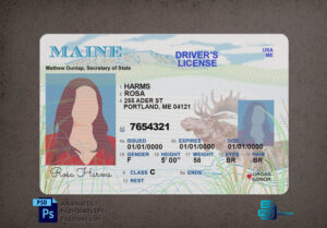 Maine Driver License Template - PSD Stores