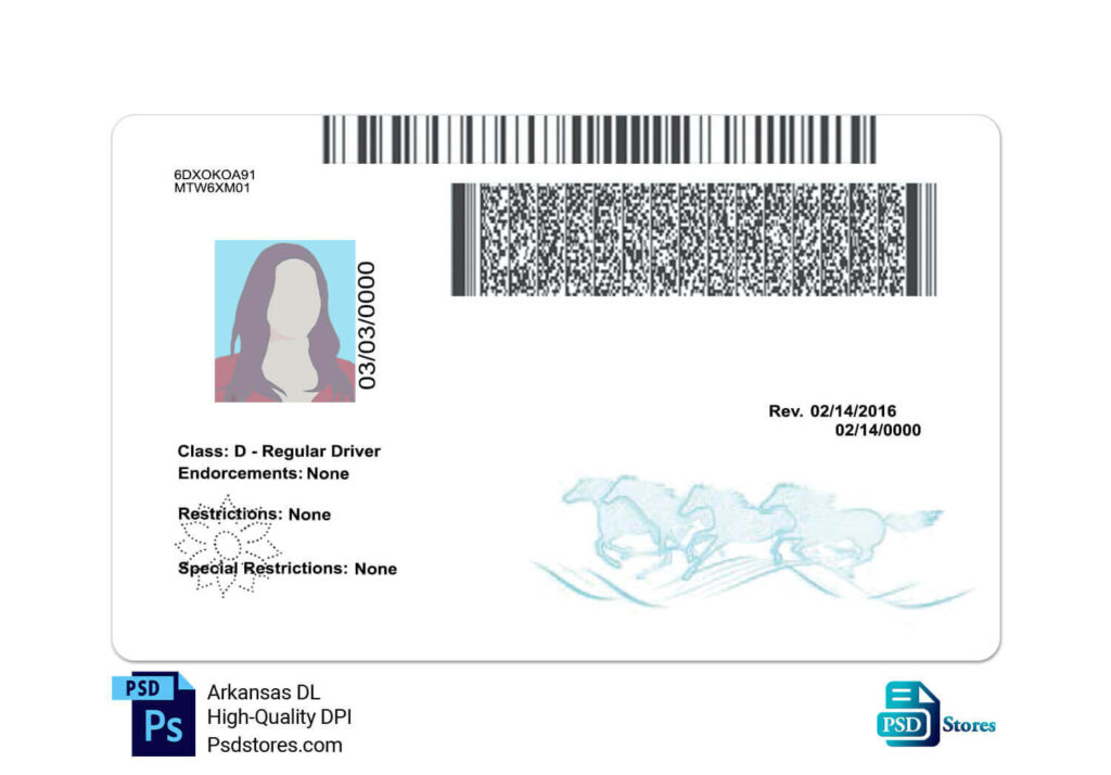Montana Driver License Template - PSD Stores