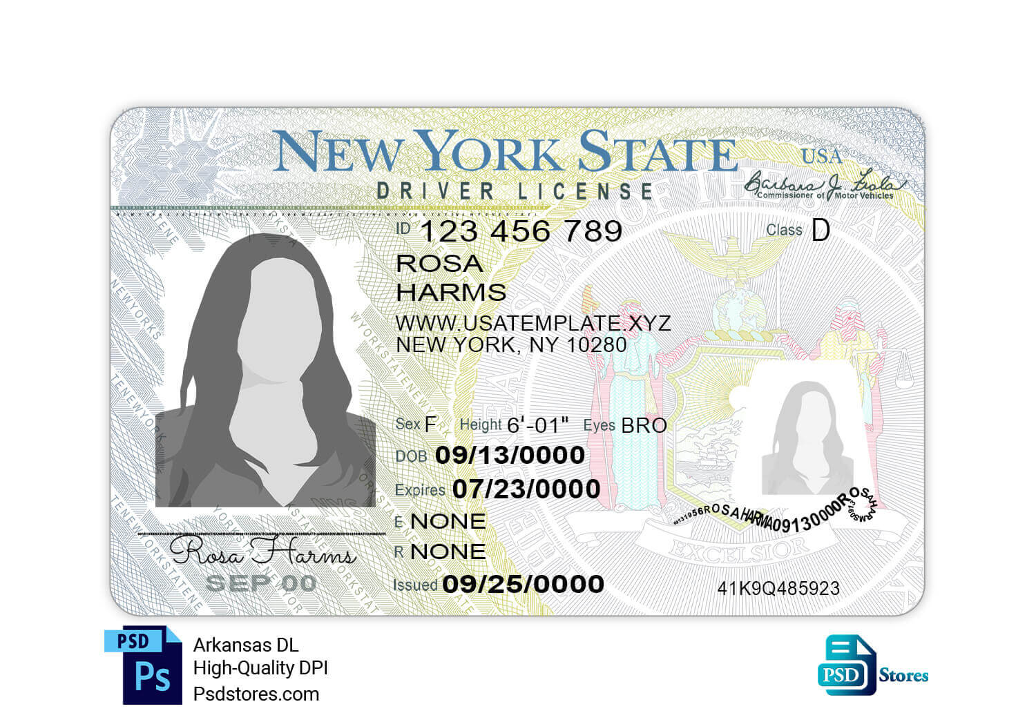 New York Driver License Template PSD Stores