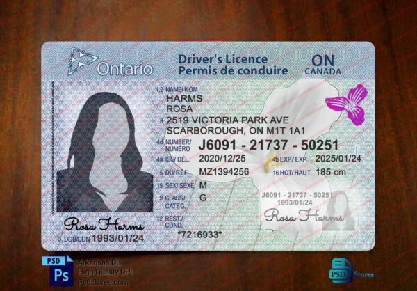 Ontario Driver License Template - PSD Stores