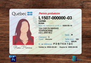 Quebec Driver License Template - PSD Stores