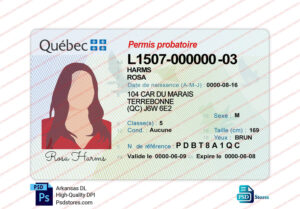 Quebec Driver License Template - PSD Stores