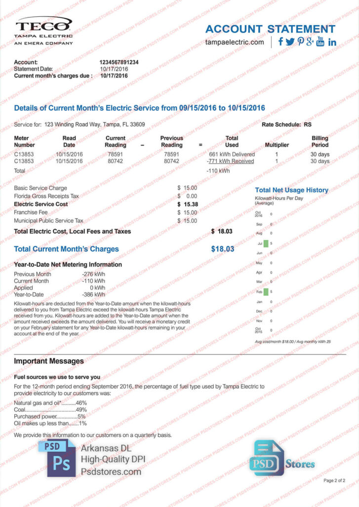 Teco Tampa Account Statement Template - PSD Stores