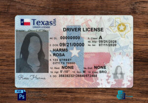 Texas Driver License Template (V2) - PSD Stores