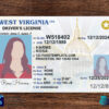 West Virginia Driver License Template - PSD Stores