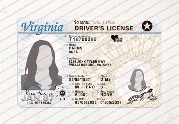 Virginia Driver License Template (V2) - PSD Stores