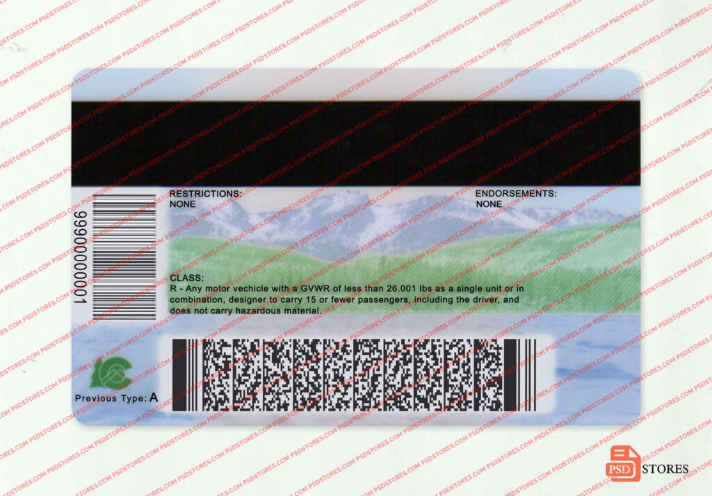 Colorado Driver License Template (V2) - PSD Stores