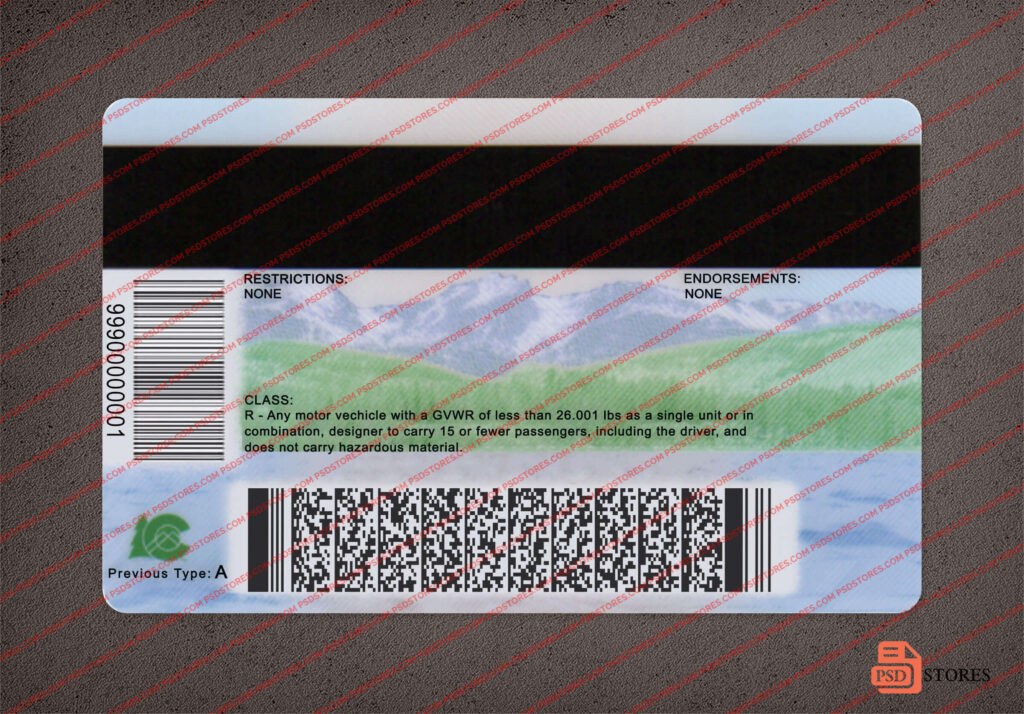 Colorado Driver License Template (V2) - PSD Stores