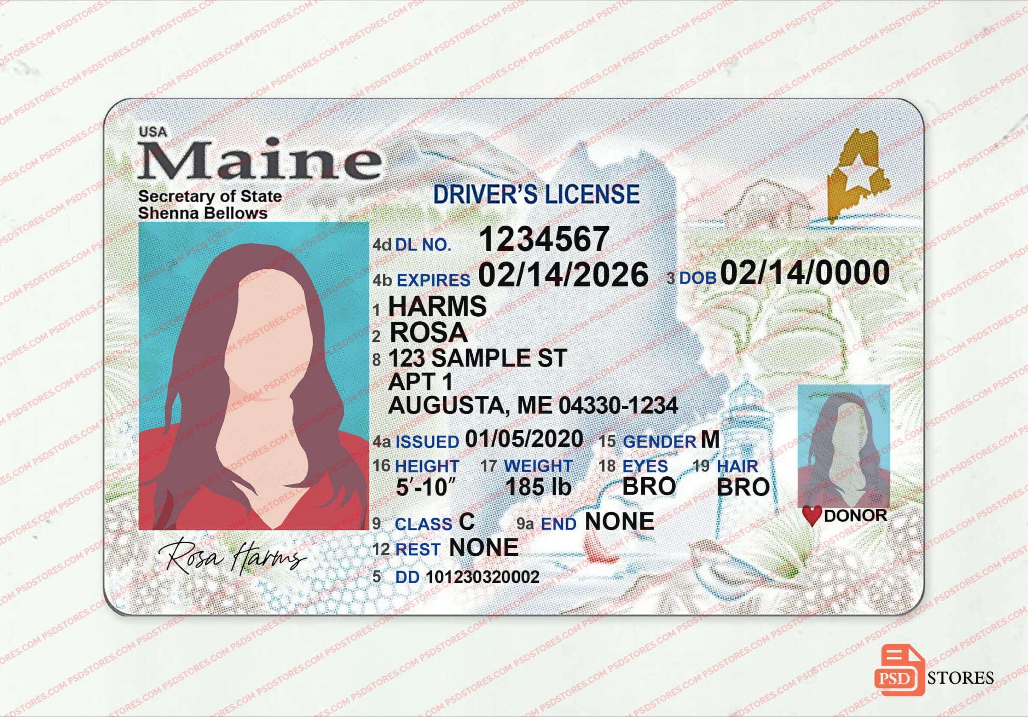 Maine Driver License Template (V2) - PSD Stores