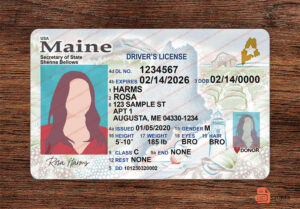 Maine Driver License Template (V2) - PSD Stores
