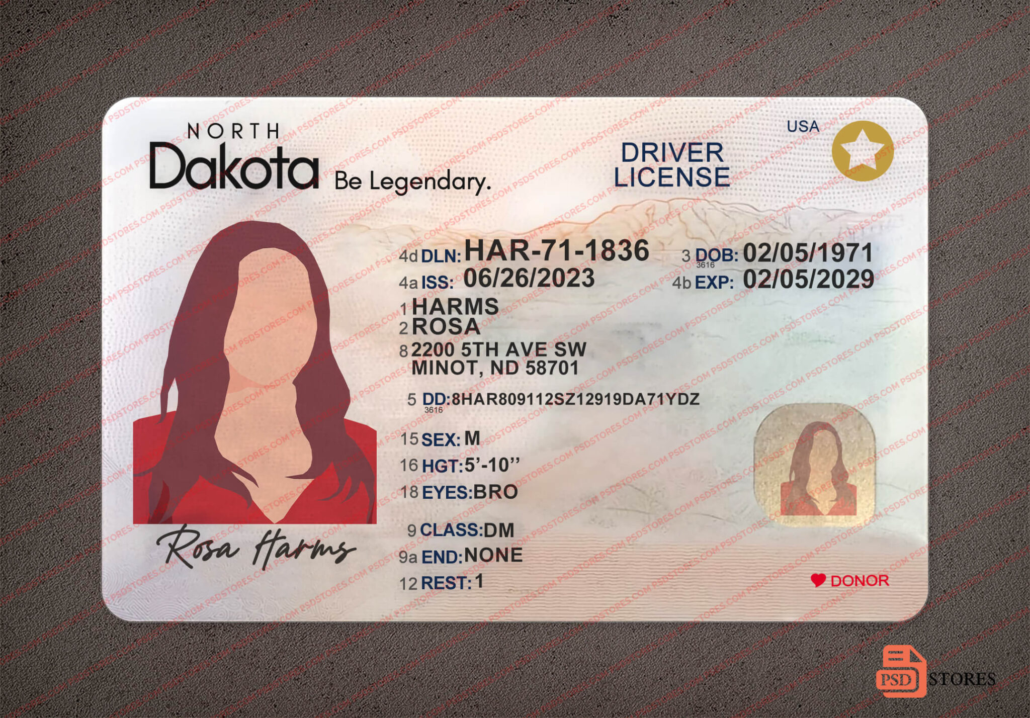 North Dakota Driver License Template (V2) - PSD Stores